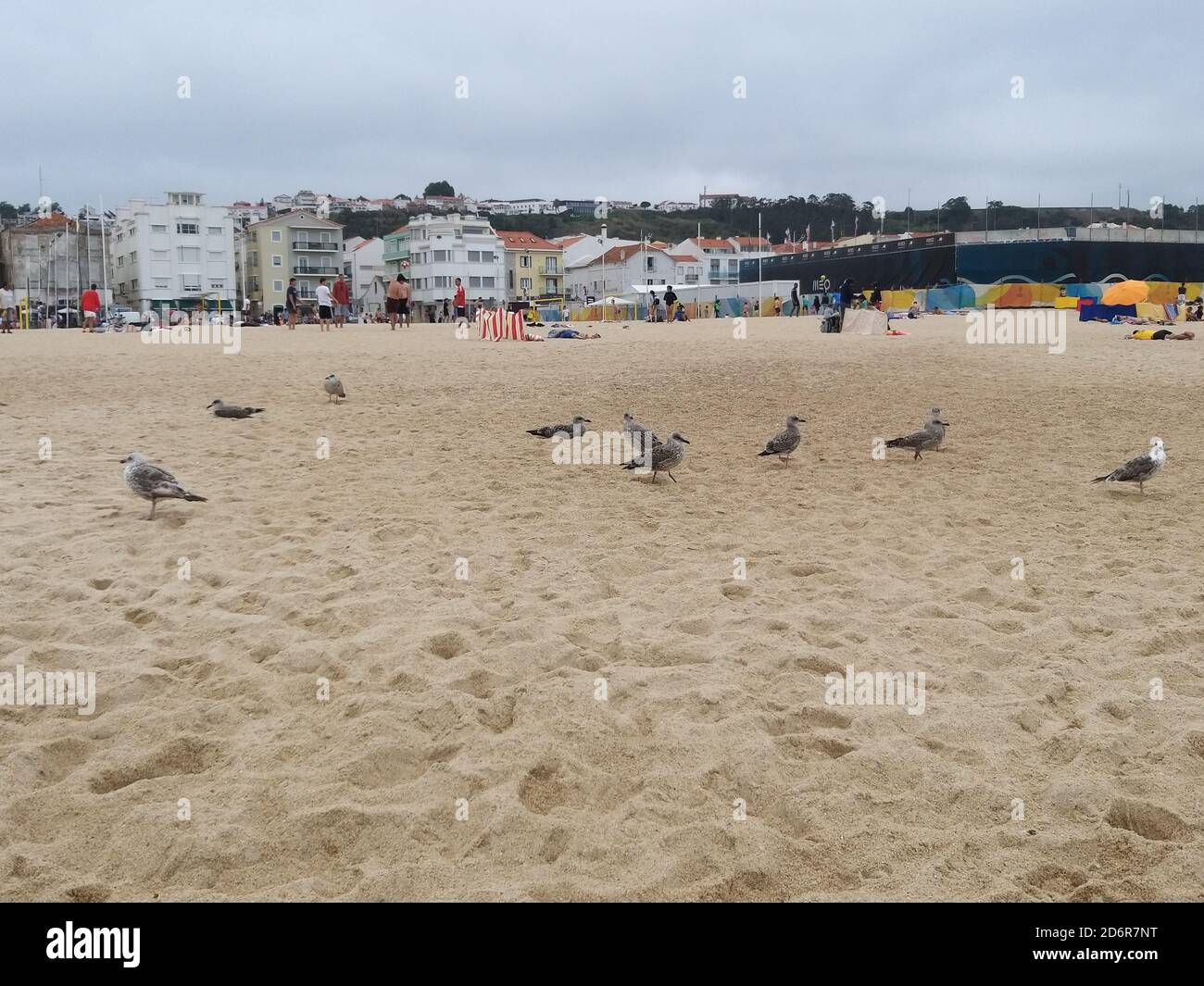 Strand von nazare, portugal -Fotos und -Bildmaterial in hoher Auflösung ...
