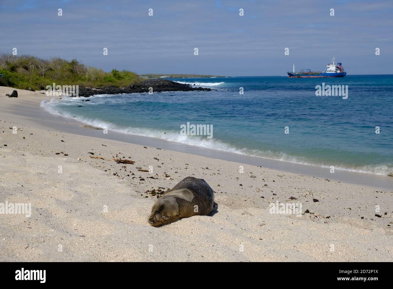 Punta carola strand -Fotos und -Bildmaterial in hoher Auflösung – Alamy