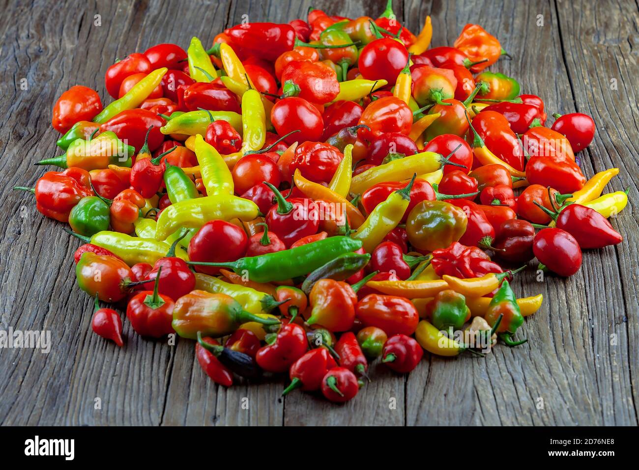 Criolla sella -Fotos und -Bildmaterial in hoher Auflösung – Alamy