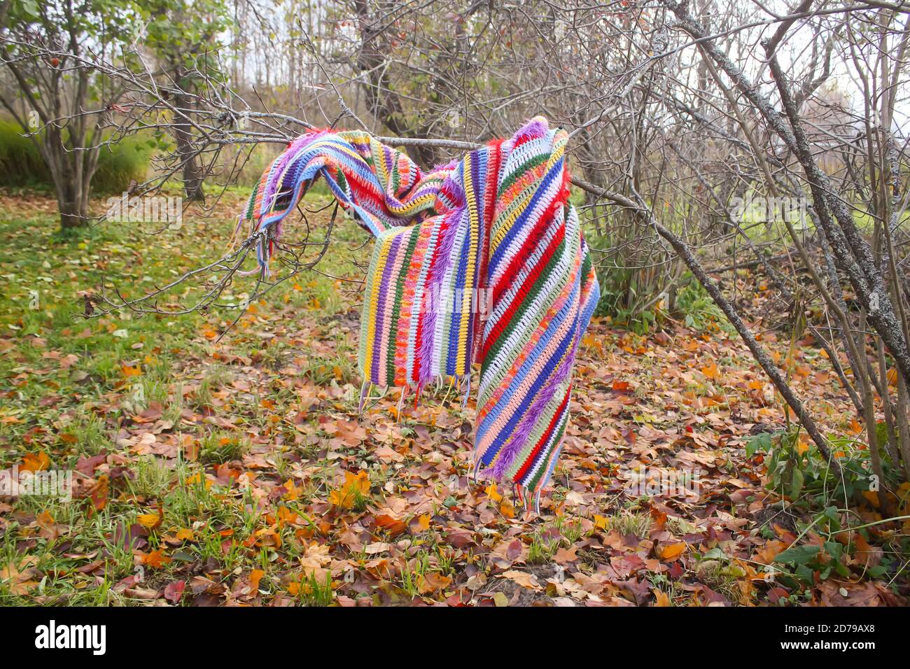 Herbststimmung in einem Park mit Herbstblättern. Kariert hell ...
