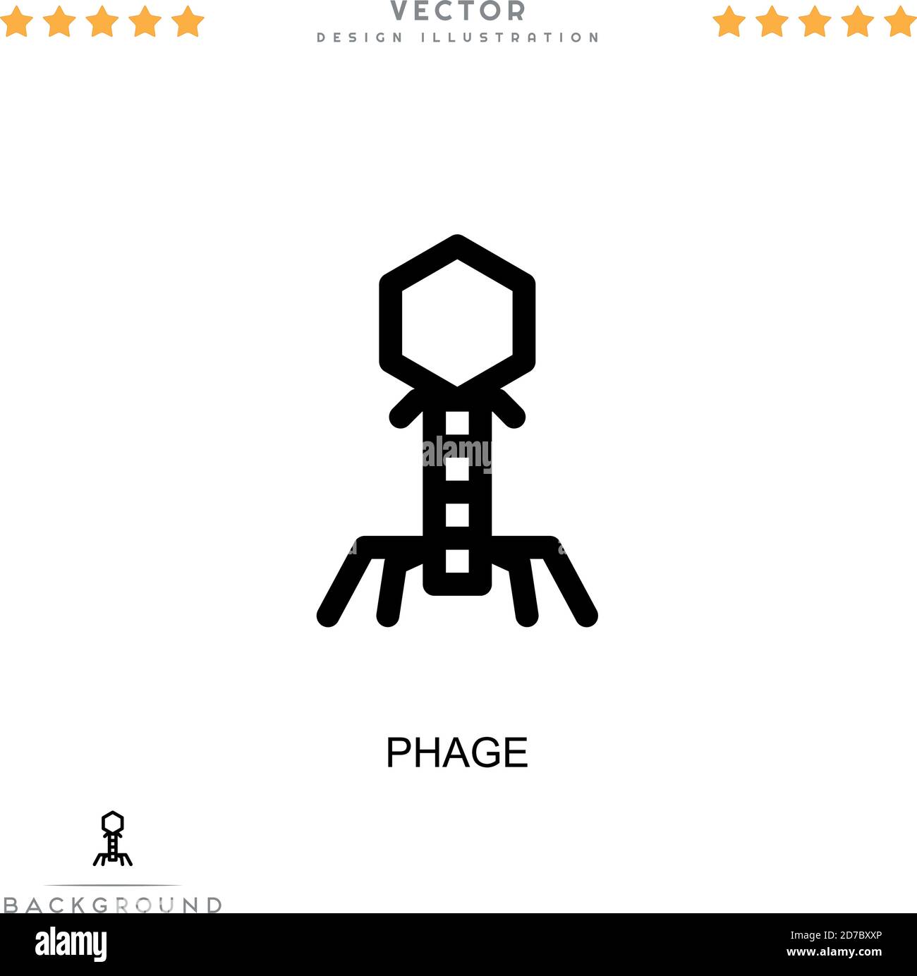 Bacteriophage vector vectors -Fotos und -Bildmaterial in hoher ...