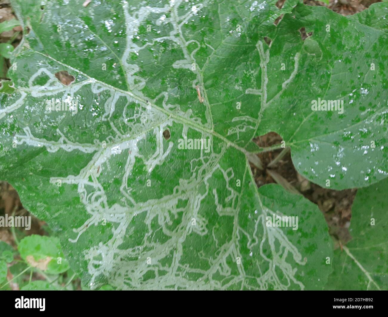 Tunnel horizontal -Fotos und -Bildmaterial in hoher Auflösung – Alamy