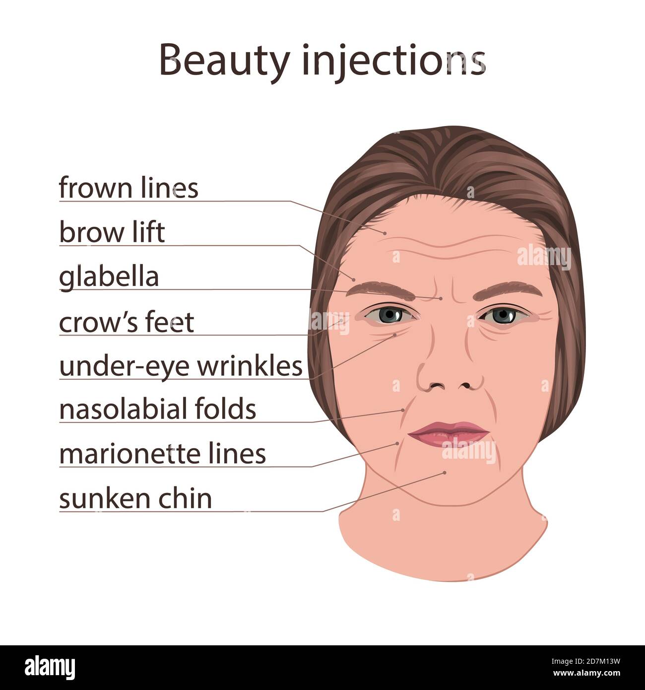 Haut schema -Fotos und -Bildmaterial in hoher Auflösung – Alamy