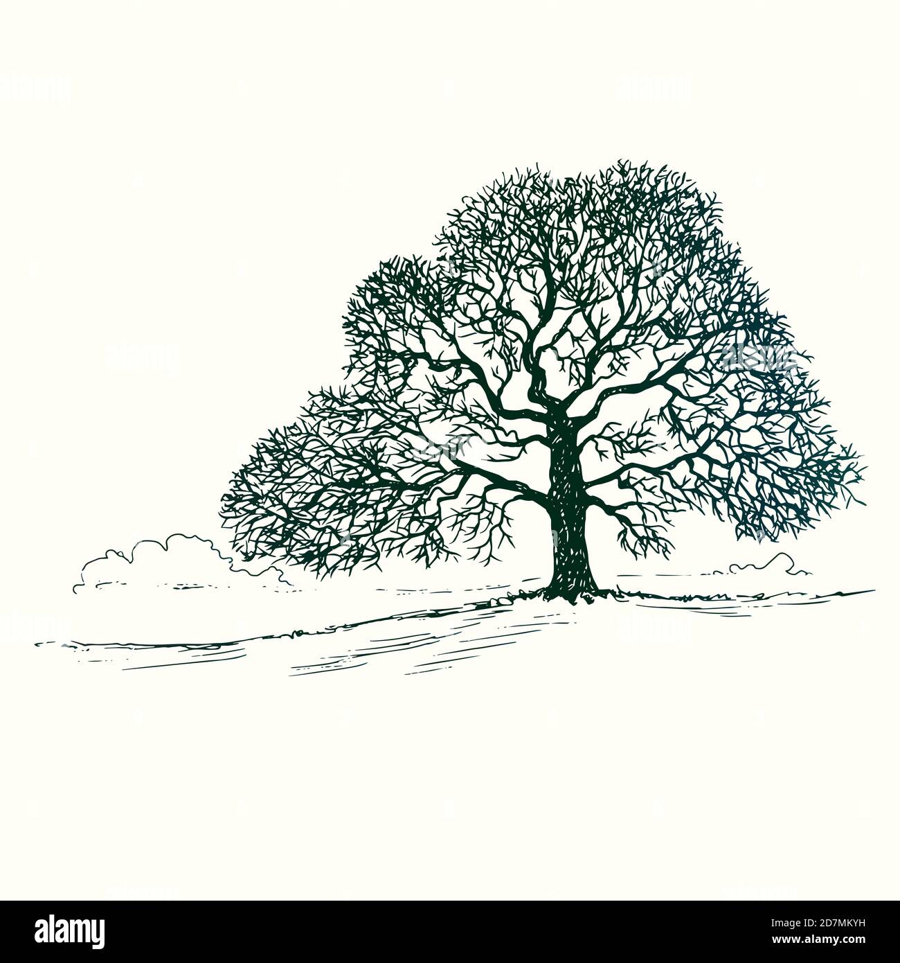 Eichenbaum Silhouette, handgezeichnete Doodle, Skizze im Pop Art Stil ...