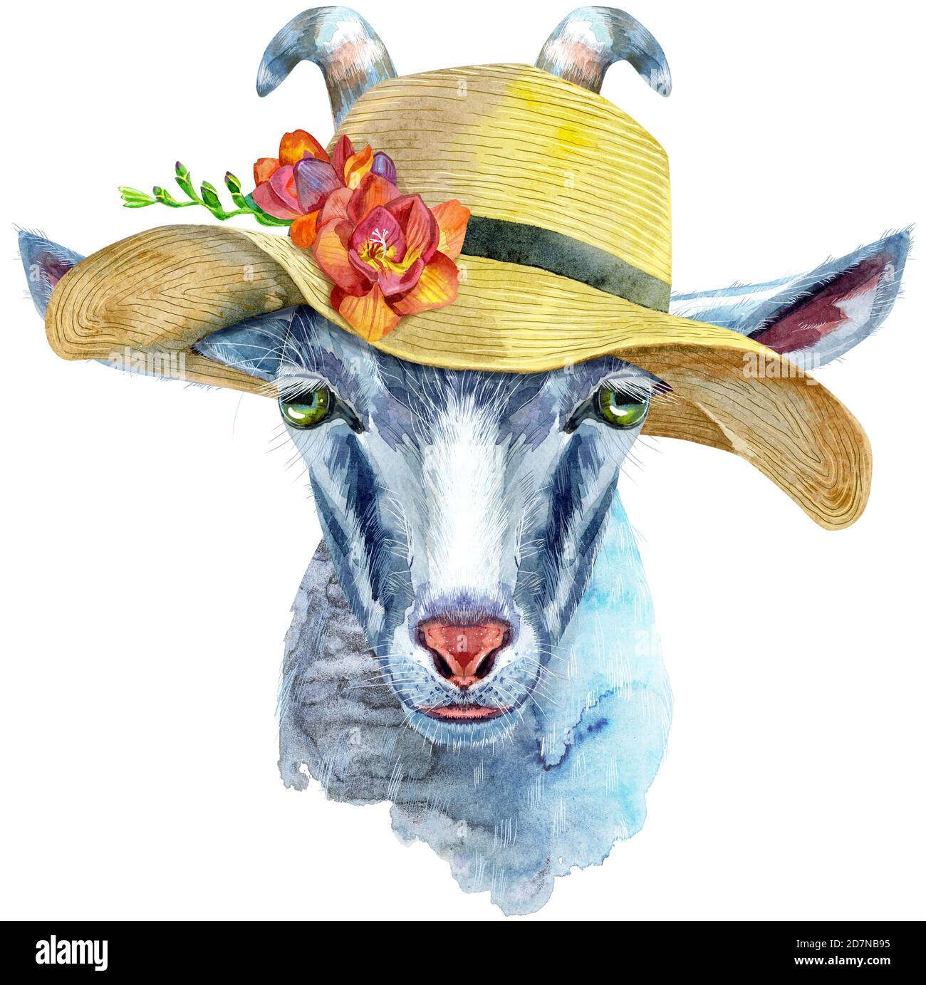 Ziege mit hut -Fotos und -Bildmaterial in hoher Auflösung – Alamy