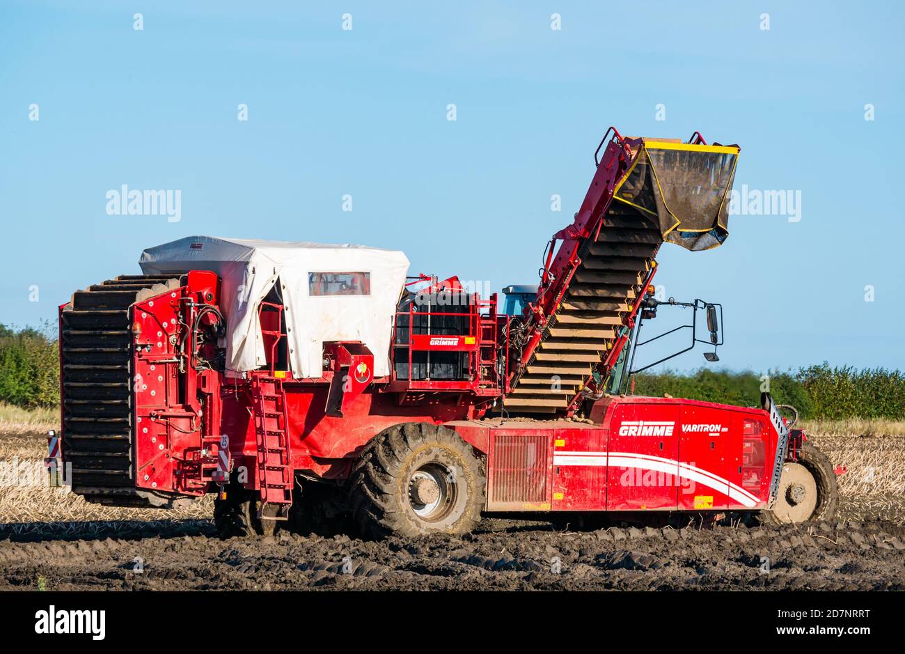 Selbstfahrende kartoffelroder -Fotos und -Bildmaterial in hoher ...