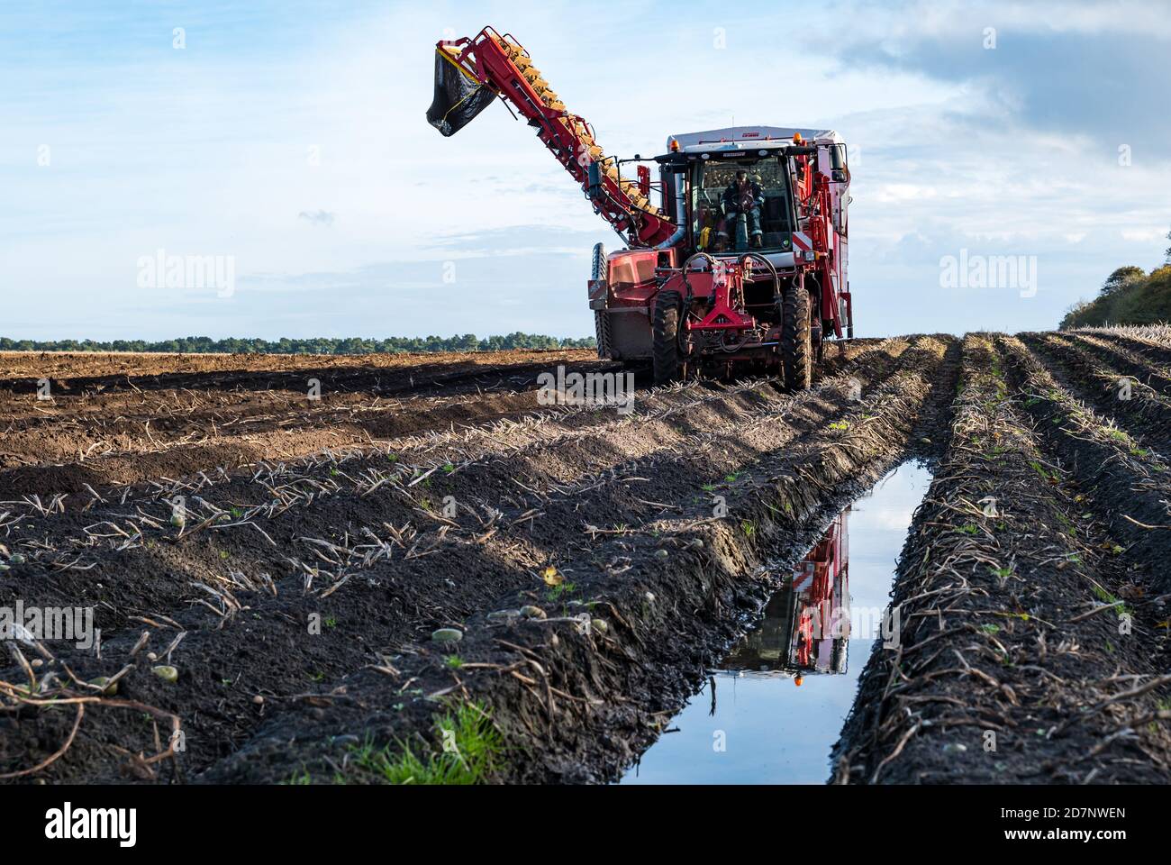 Selbstfahrende kartoffelroder -Fotos und -Bildmaterial in hoher ...