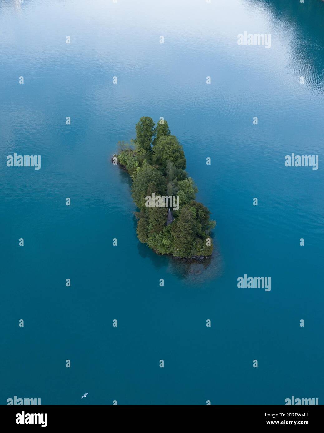 Luftbild, kleine Insel im Brienzersee, Berner Oberland, Schweiz ...