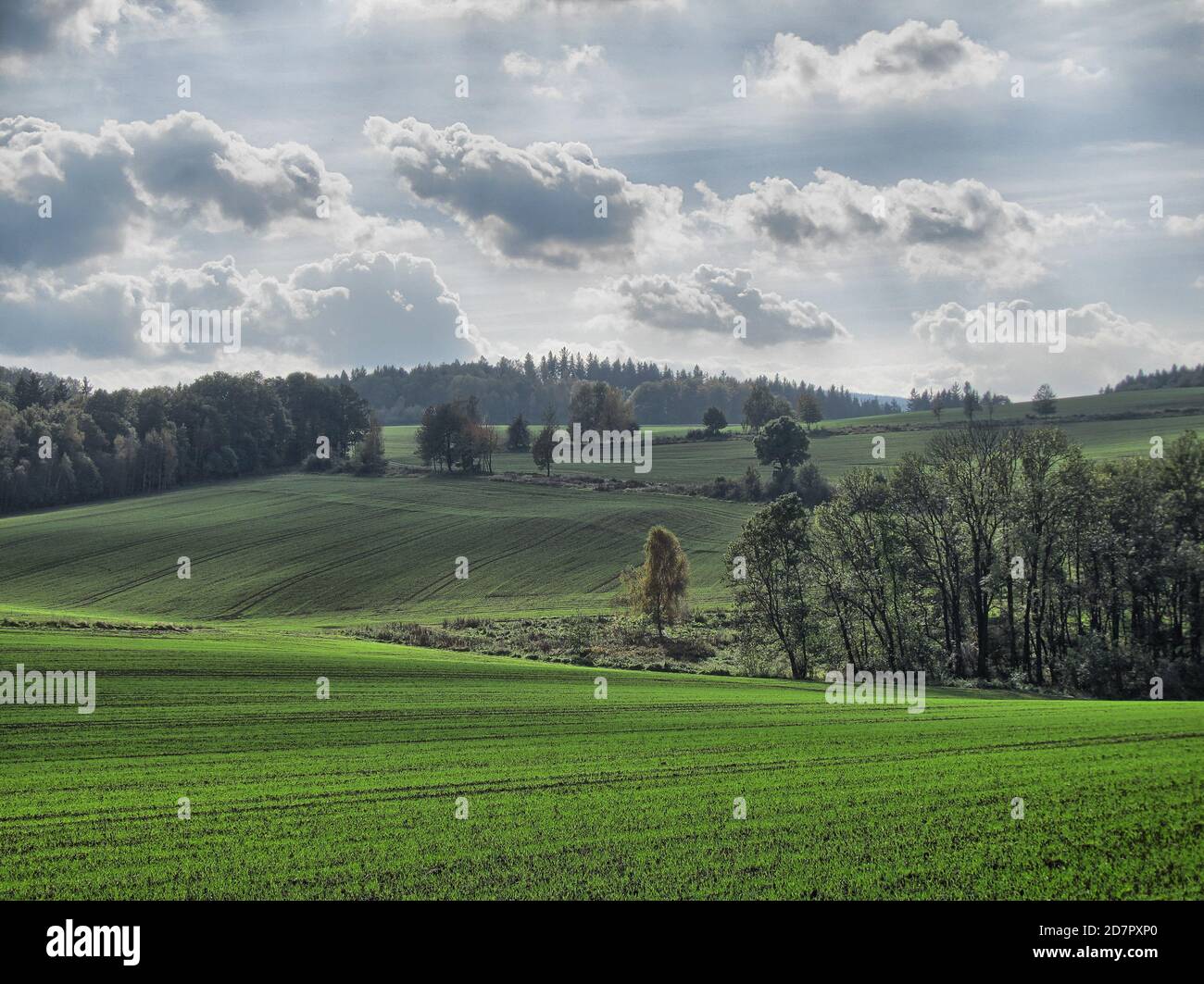 Polish countryside -Fotos und -Bildmaterial in hoher Auflösung – Alamy