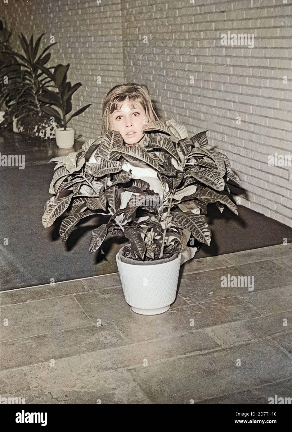 Helga anders, deutsch österreichische Schauspielerin und Synchronsprecherin, Deutschland um 1970 ...