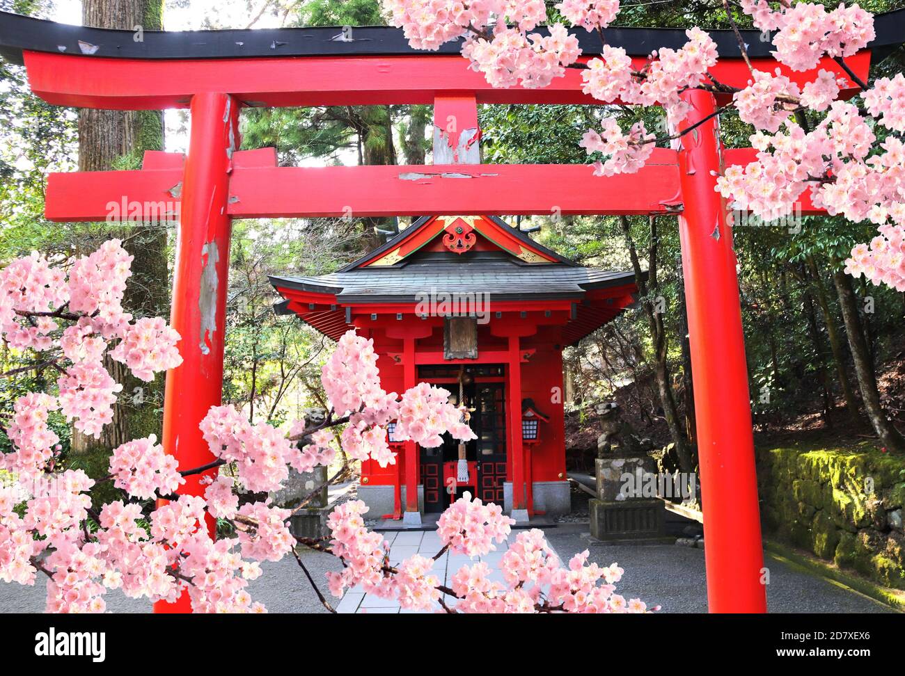 Shinto altar -Fotos und -Bildmaterial in hoher Auflösung - Seite 2 - Alamy