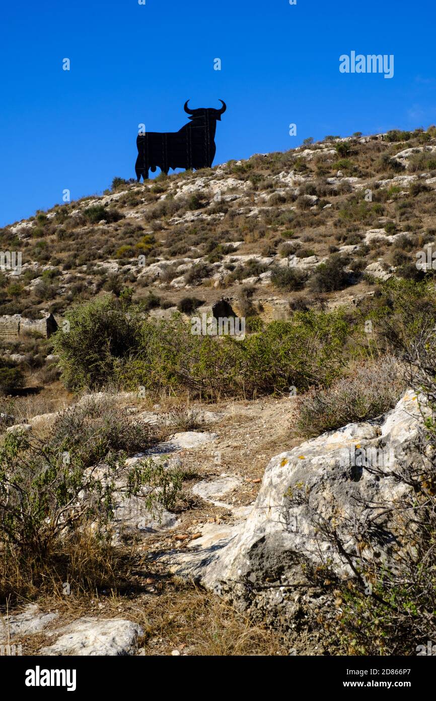 Osborne stier -Fotos und -Bildmaterial in hoher Auflösung - Seite 2 - Alamy