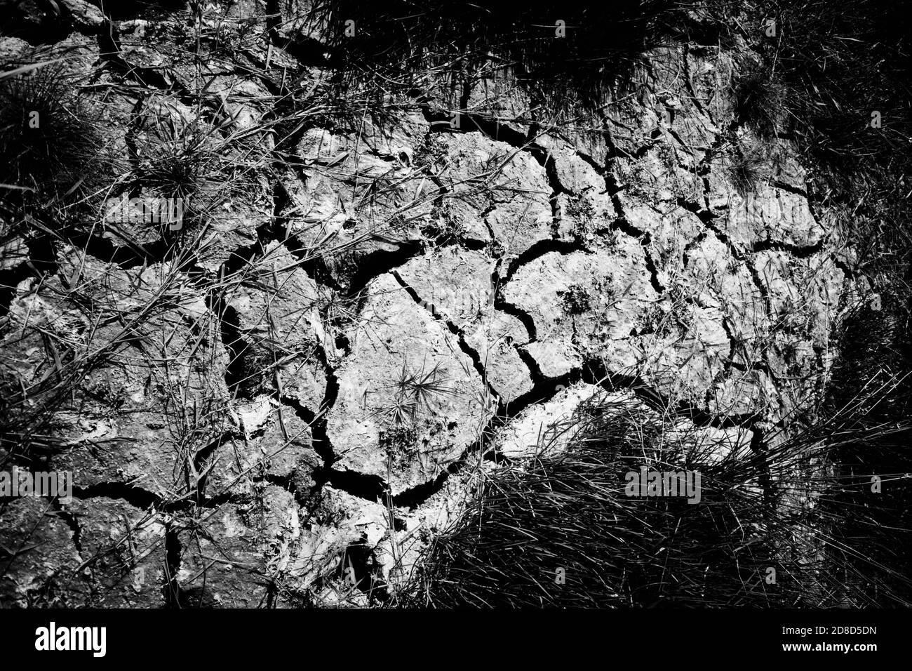 Brauner bodenhintergrund -Fotos und -Bildmaterial in hoher Auflösung ...