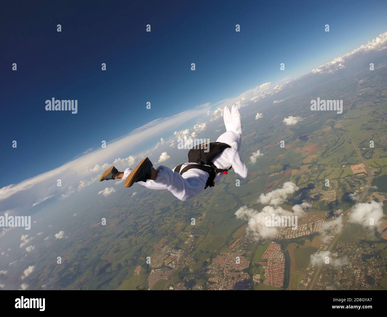 Mutiger hase -Fotos und -Bildmaterial in hoher Auflösung – Alamy