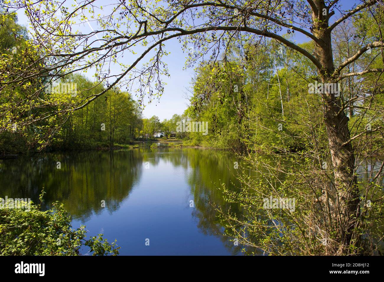 Rhein region -Fotos und -Bildmaterial in hoher Auflösung – Alamy