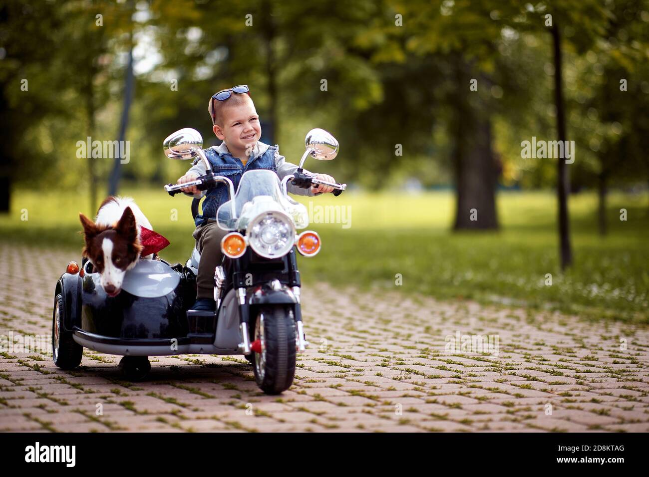 Hund im motorrad seitenwagen -Fotos und -Bildmaterial in hoher ...