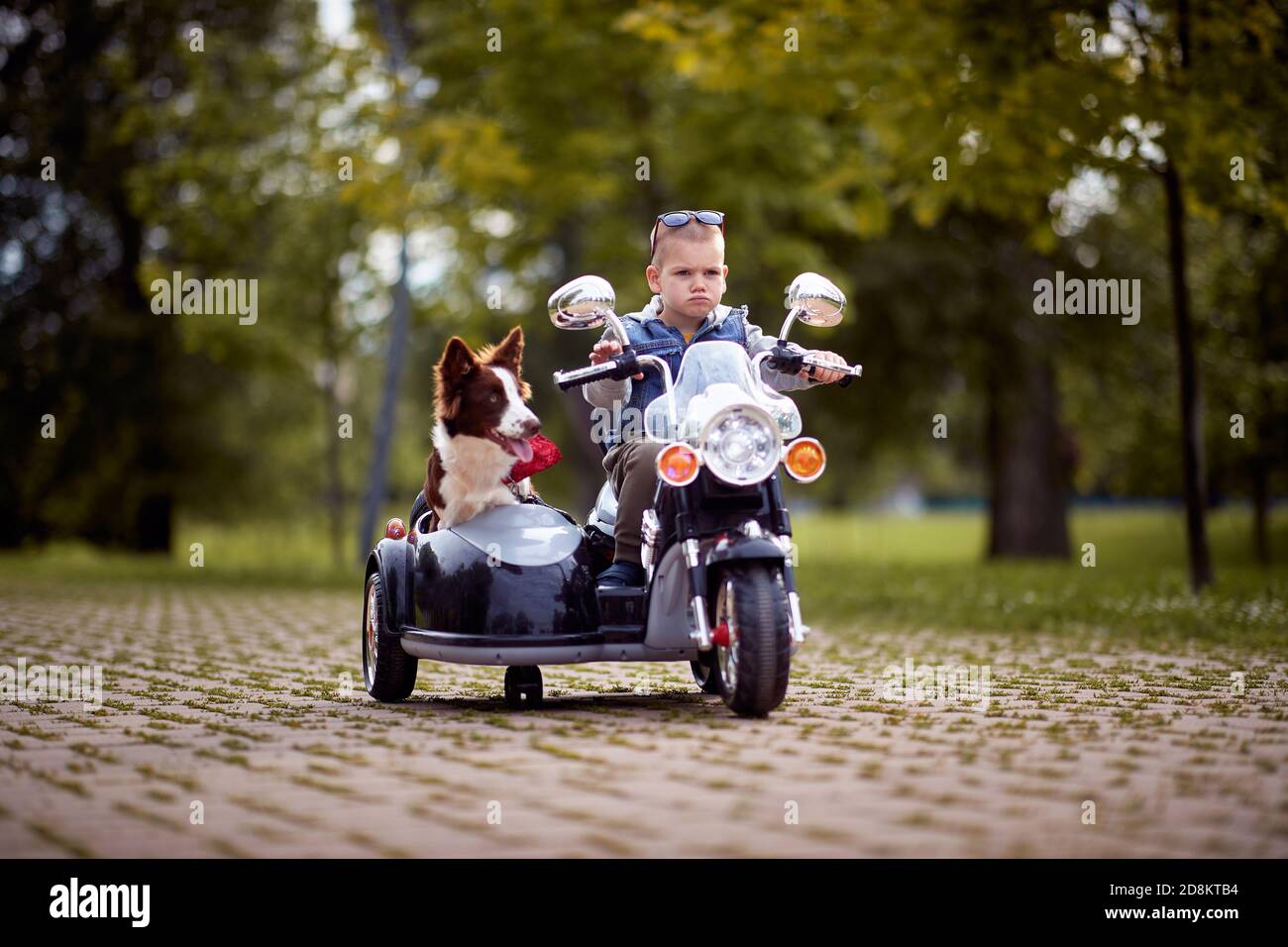 Hund im motorrad seitenwagen -Fotos und -Bildmaterial in hoher ...