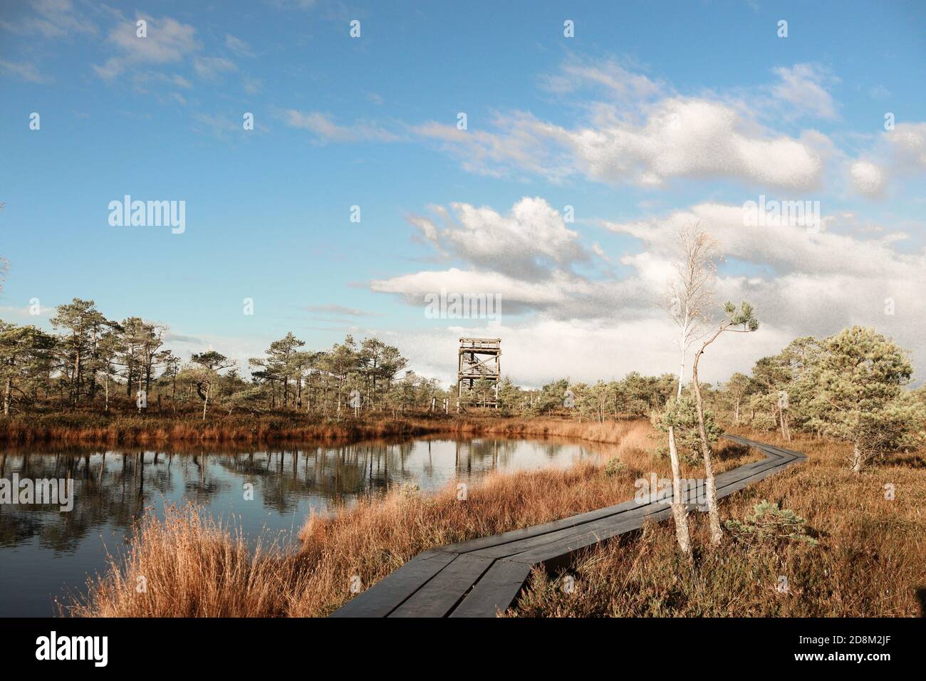 Sumpf natur Stockfotos und -bilder Kaufen - Alamy
