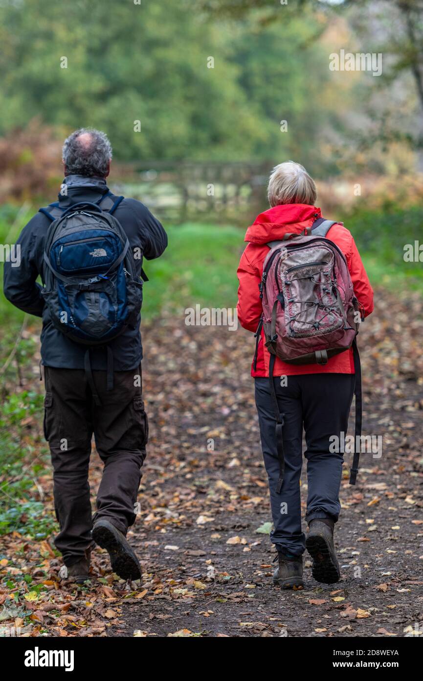 Wald walkerstrekking -Fotos und -Bildmaterial in hoher Auflösung – Alamy