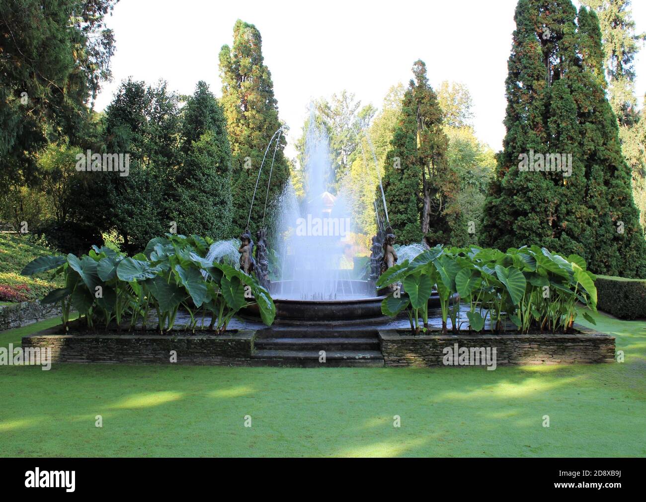Alpin brunnen -Fotos und -Bildmaterial in hoher Auflösung – Alamy
