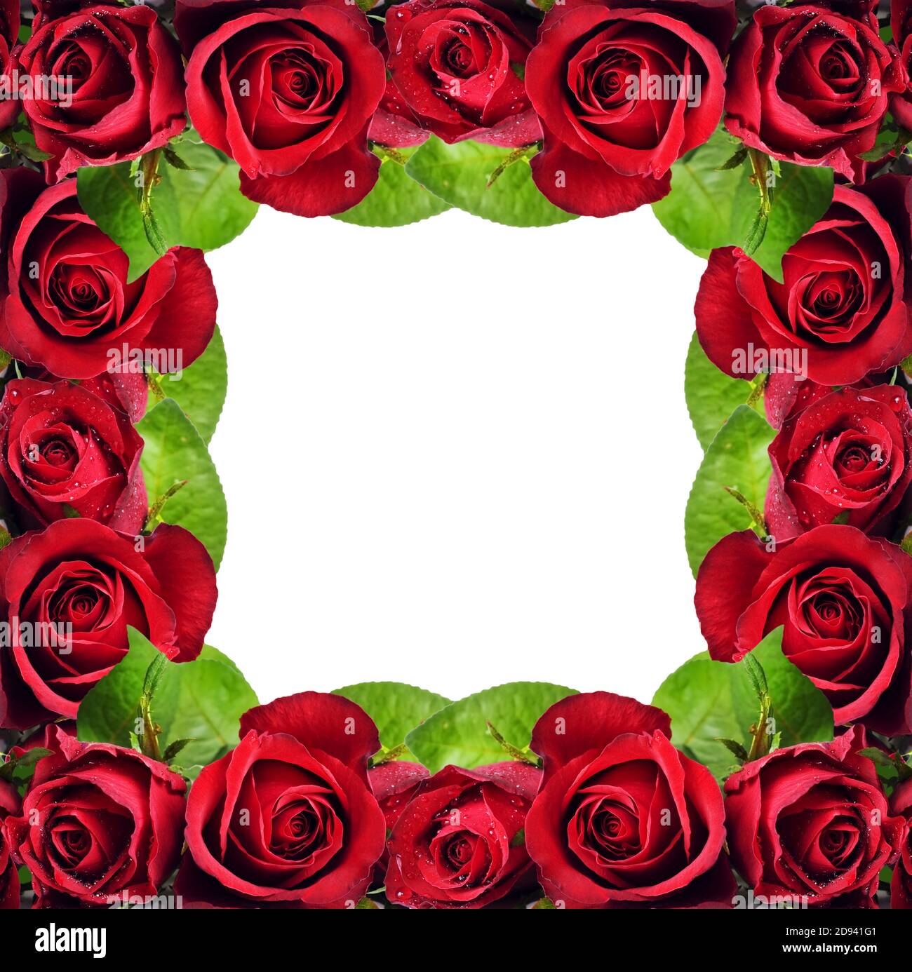 Tattoo rose -Fotos und -Bildmaterial in hoher Auflösung - Seite 2 - Alamy