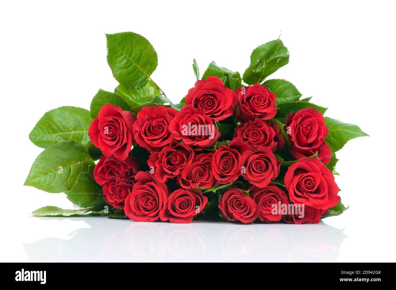 Eine rote rose natok -Fotos und -Bildmaterial in hoher Auflösung – Alamy