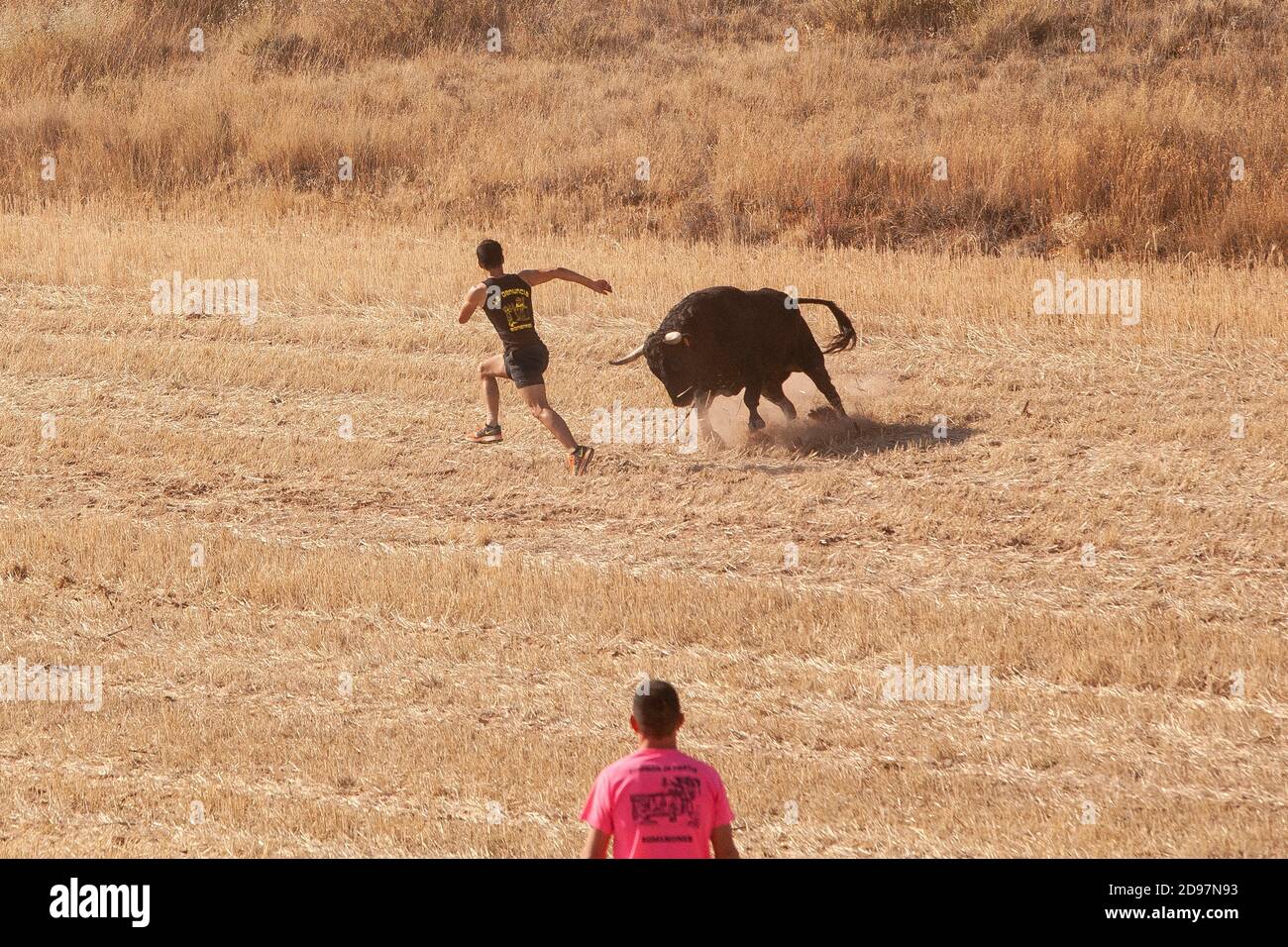 Running of the bulls -Fotos und -Bildmaterial in hoher Auflösung – Alamy
