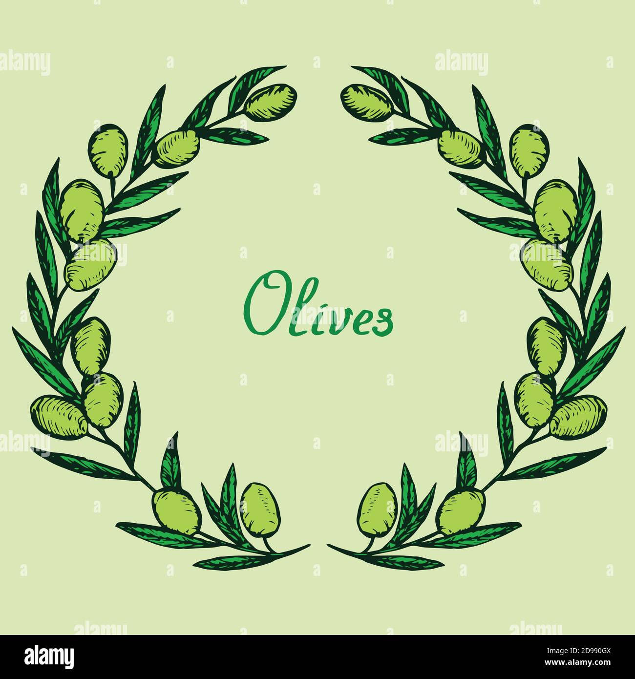 Grüne Olive Zweige Farbset, Design mit Inschrift, Holzschnitt-Design ...