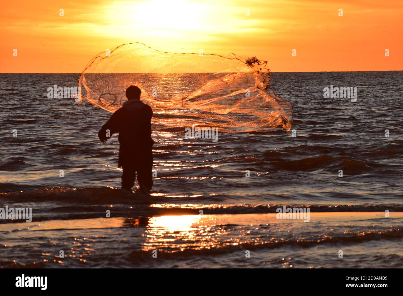Perfekter fischer -Fotos und -Bildmaterial in hoher Auflösung – Alamy