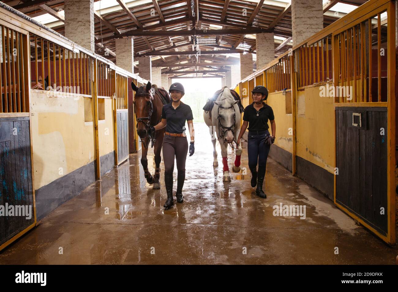 Junge mädchen im reitstall -Fotos und -Bildmaterial in hoher Auflösung - Seite 2 - Alamy