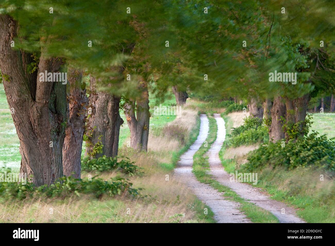 Müritz nationalpark deutschland -Fotos und -Bildmaterial in hoher ...