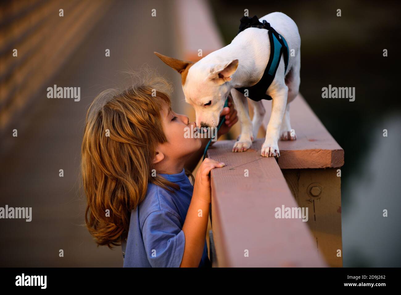 Welpe Mit Kind Stockfotos und -bilder Kaufen - Alamy