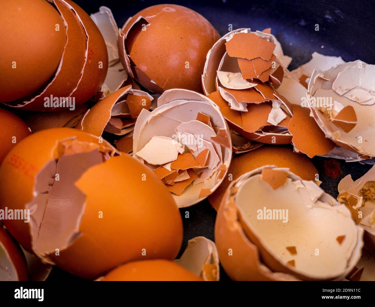 Mit eierschalen -Fotos und -Bildmaterial in hoher Auflösung – Alamy