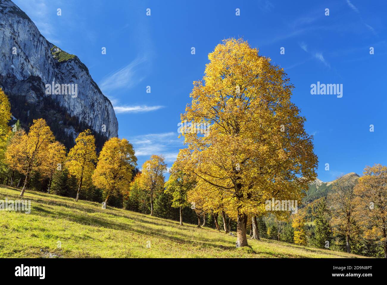 Tiroler breit -Fotos und -Bildmaterial in hoher Auflösung – Alamy