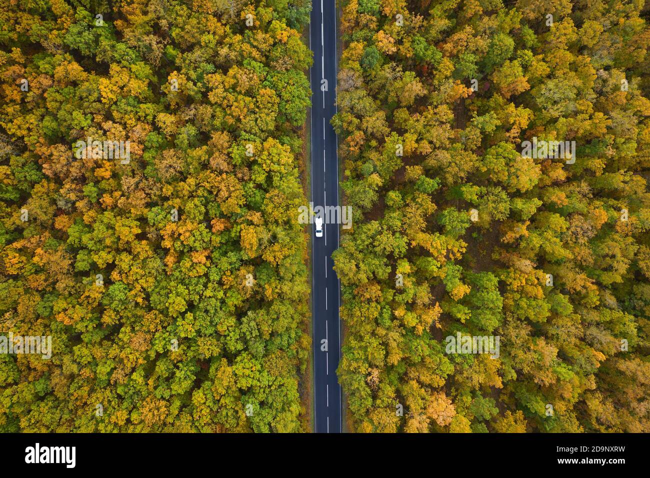 Luftaufnahme der Straße durch den Wald im Herbst Stockfotografie - Alamy