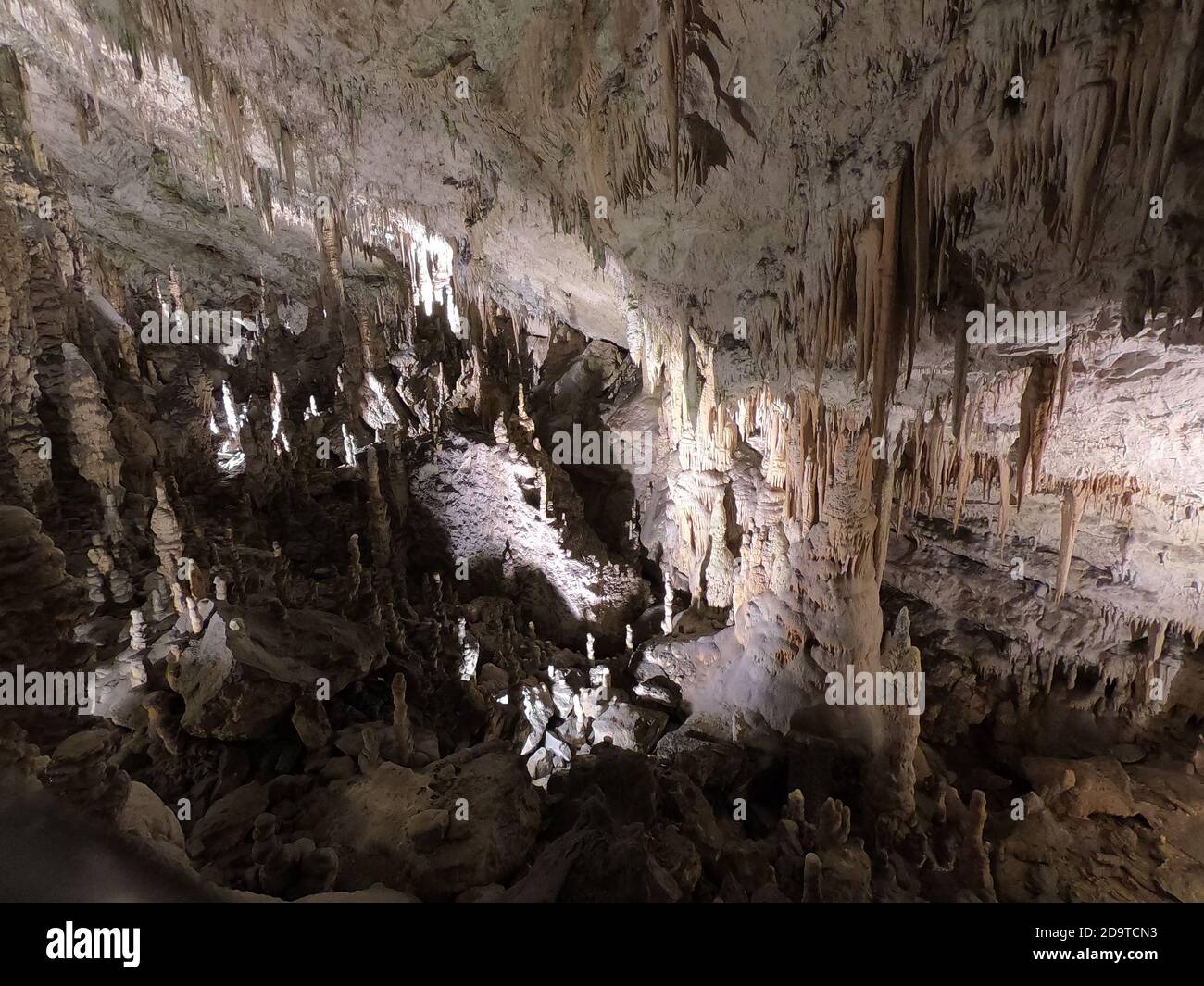 Postojna cave park -Fotos und -Bildmaterial in hoher Auflösung – Alamy