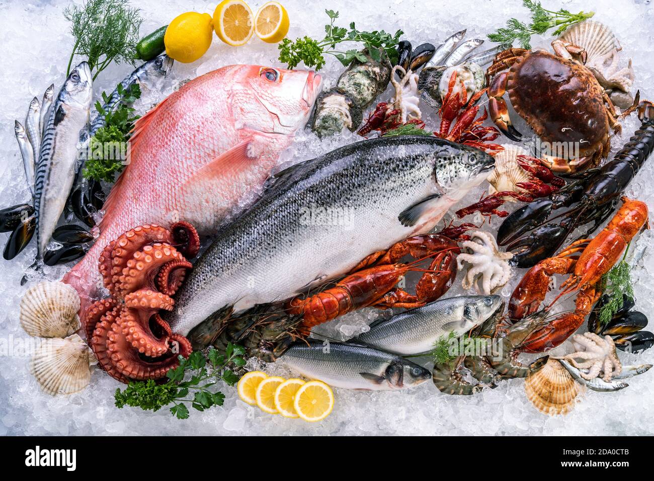 Draufsicht Vielfalt an frischen Luxus-Meeresfrüchten, Hummer Lachs ...