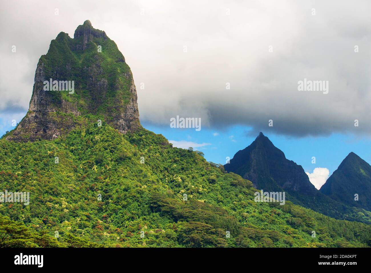 Mt tohivea -Fotos und -Bildmaterial in hoher Auflösung – Alamy