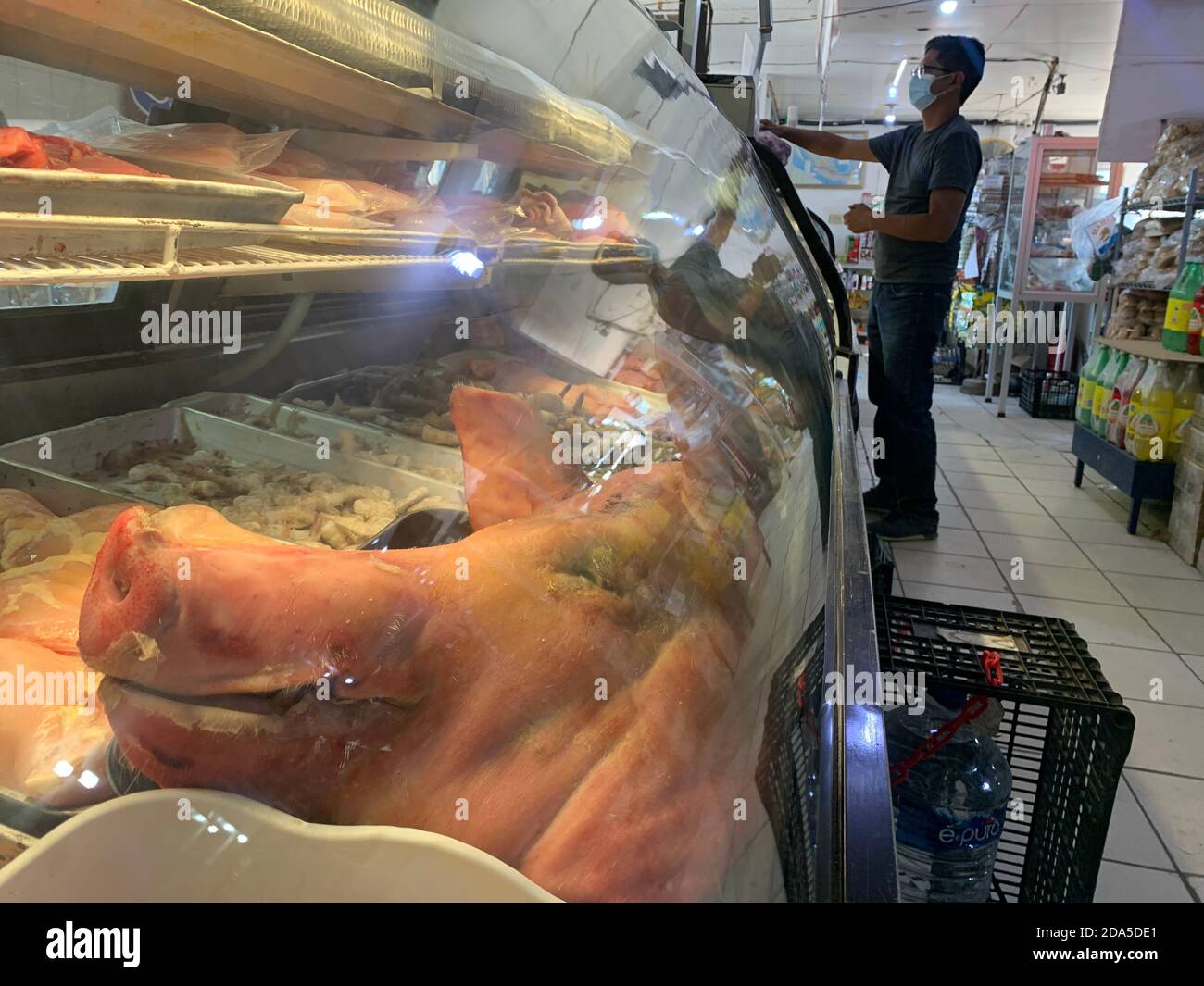 Fisch mit schweinekopf -Fotos und -Bildmaterial in hoher Auflösung – Alamy