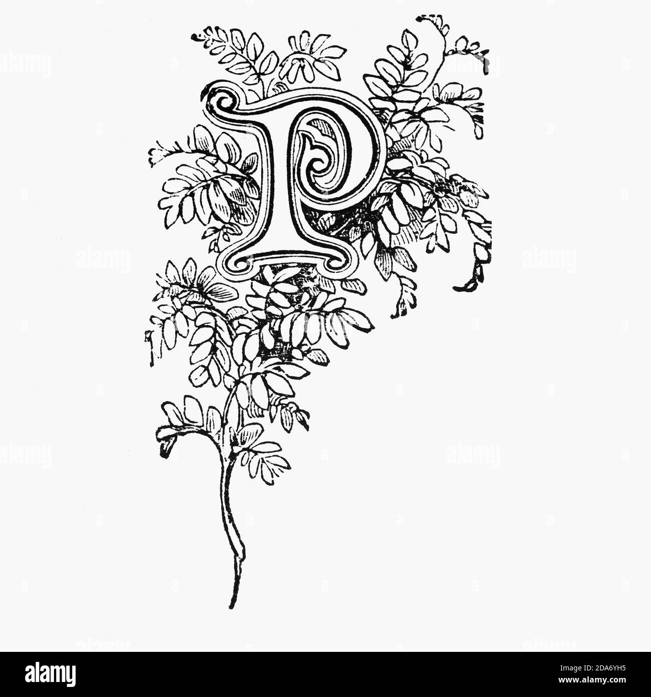 Typografie schriftart -Fotos und -Bildmaterial in hoher Auflösung – Alamy