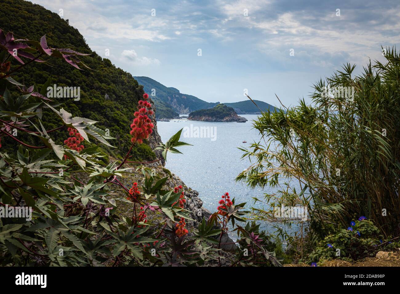 Fauna corfu -Fotos und -Bildmaterial in hoher Auflösung – Alamy