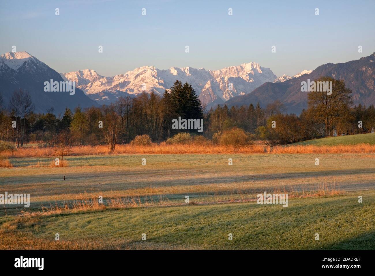 Murnauer moos germany bavaria -Fotos und -Bildmaterial in hoher ...