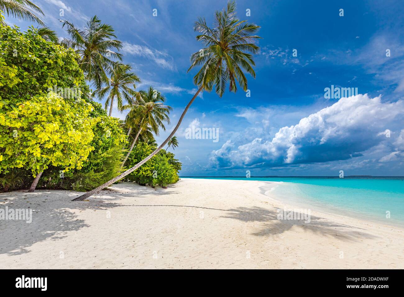 Malediven paradies -Fotos und -Bildmaterial in hoher Auflösung – Alamy