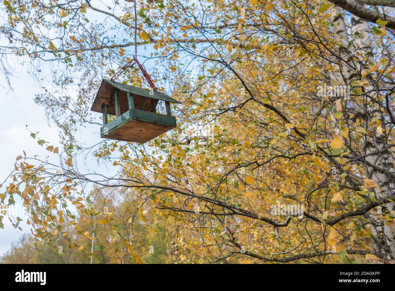 Schone Wann Vogelhaus Aufhangen Bilder
