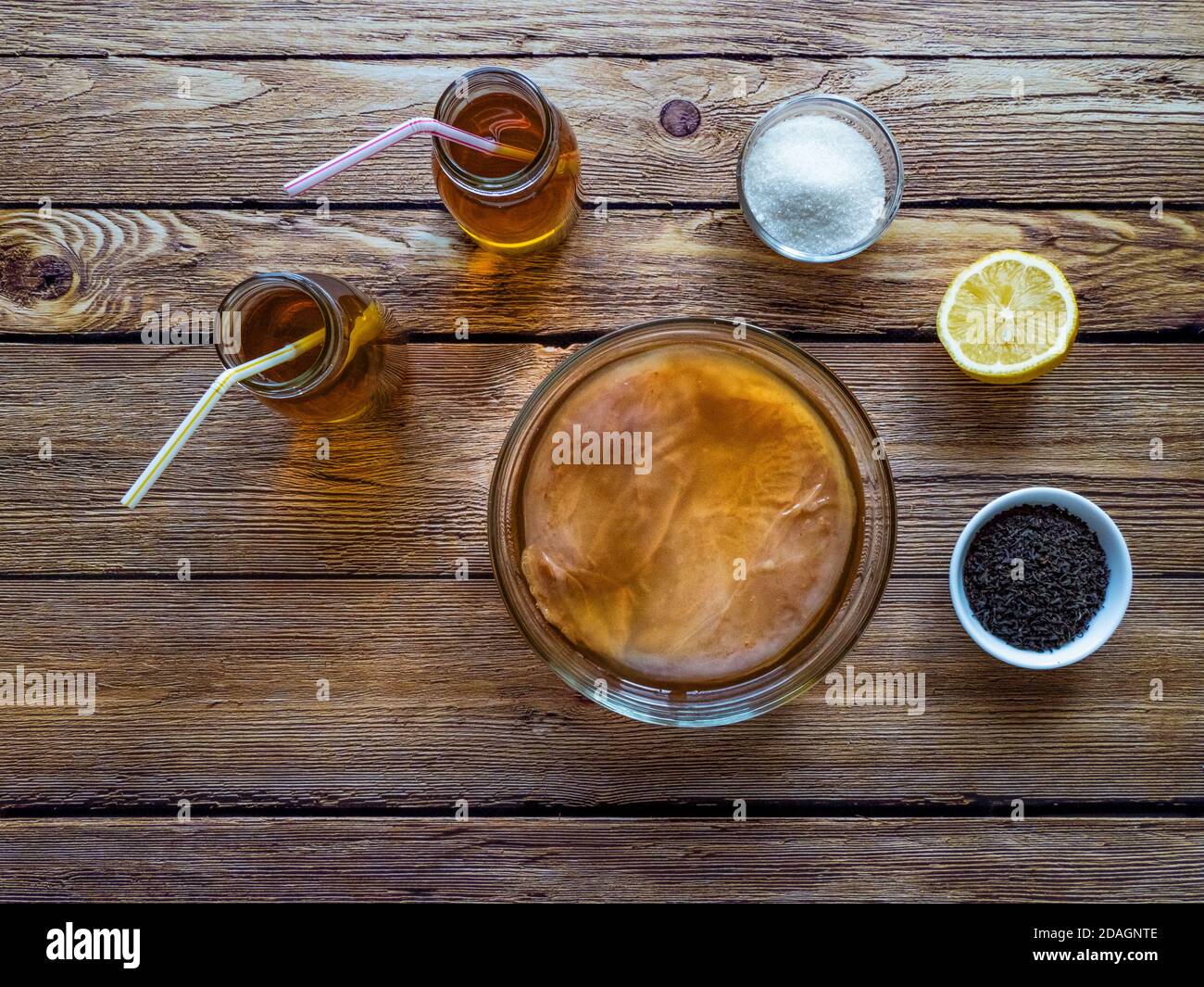 Pilz organisch -Fotos und -Bildmaterial in hoher Auflösung – Alamy