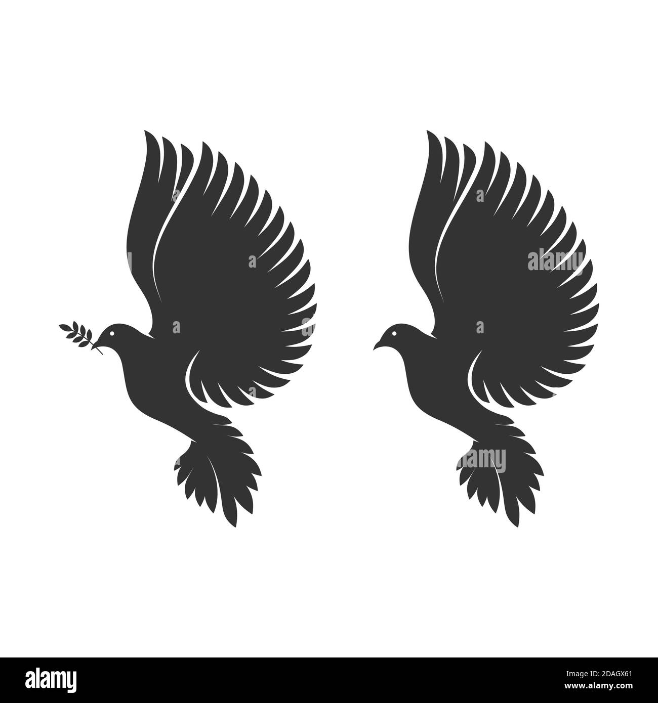 Taube, ein Symbol des Friedens und der Reinheit. Das biblische Symbol ...