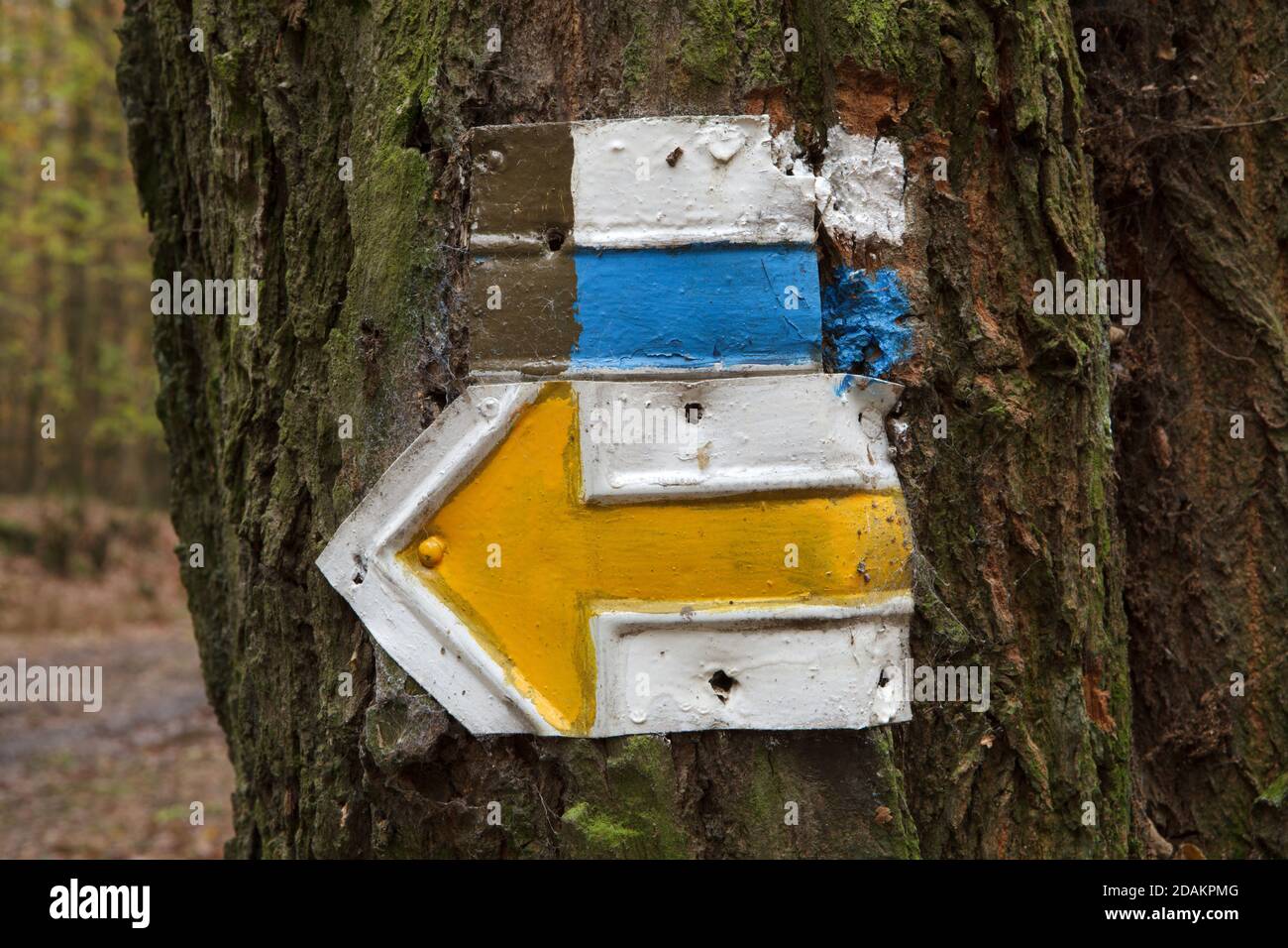 Gelber pfeil zeigt nach rechts -Fotos und -Bildmaterial in hoher ...