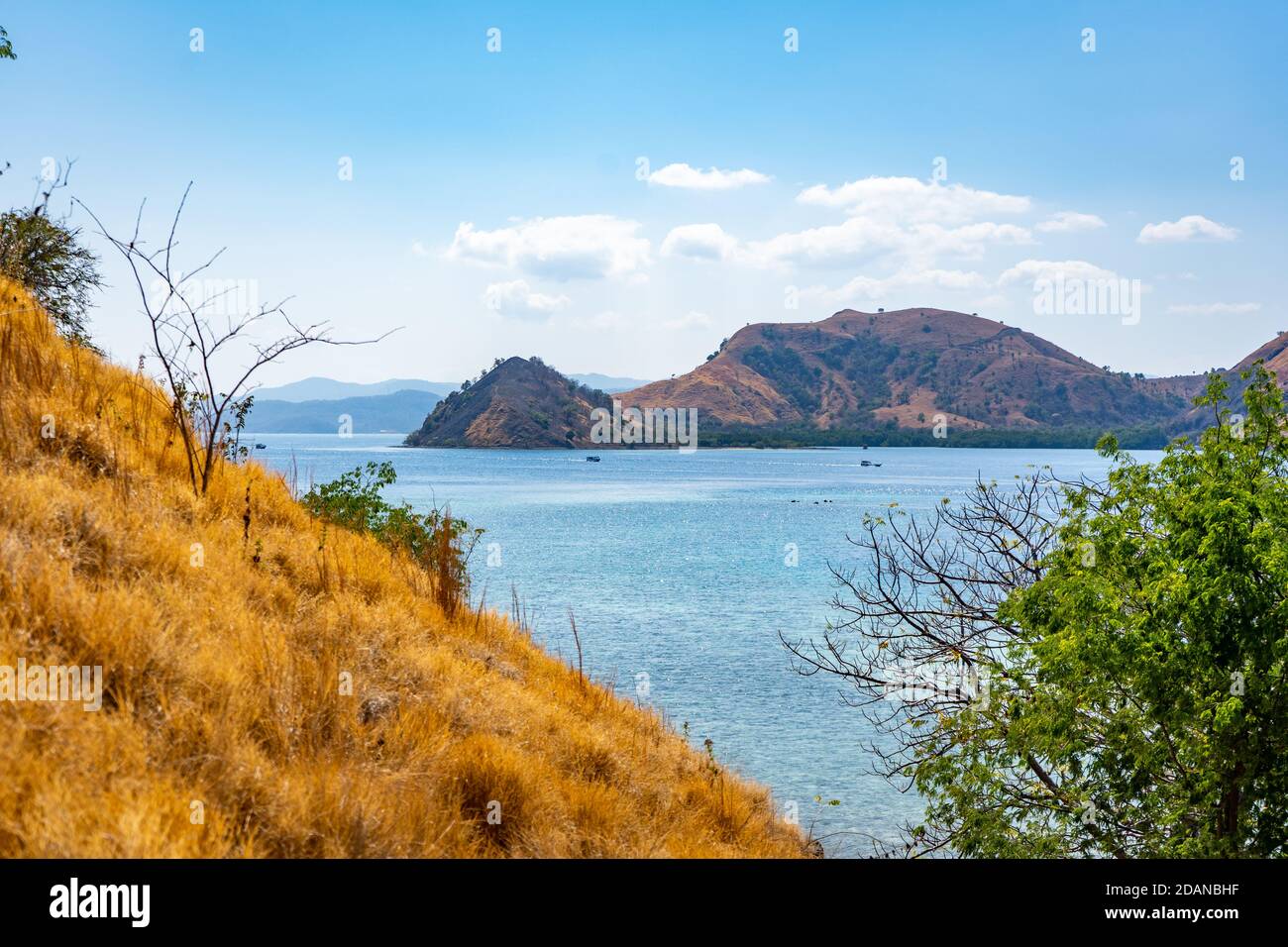 Inseln von komodo -Fotos und -Bildmaterial in hoher Auflösung – Alamy