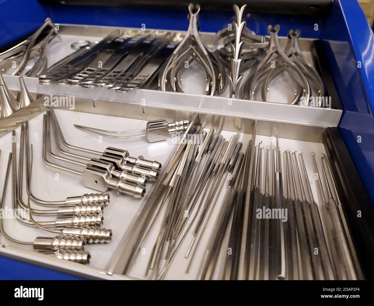 Hno Anatomie Stockfotos und -bilder Kaufen - Alamy