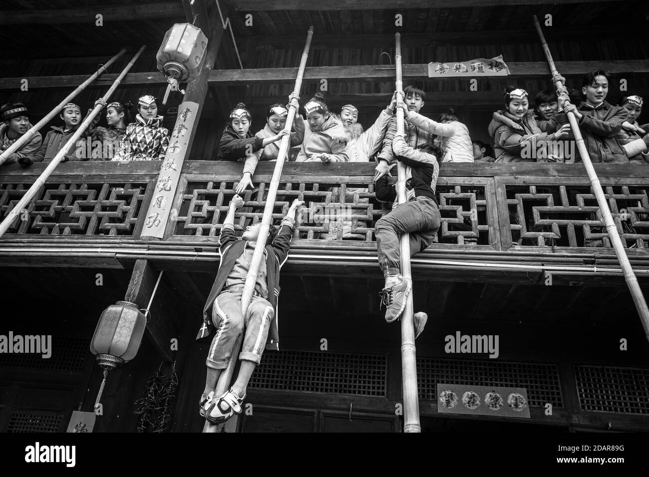 Raube jung -Fotos und -Bildmaterial in hoher Auflösung – Alamy